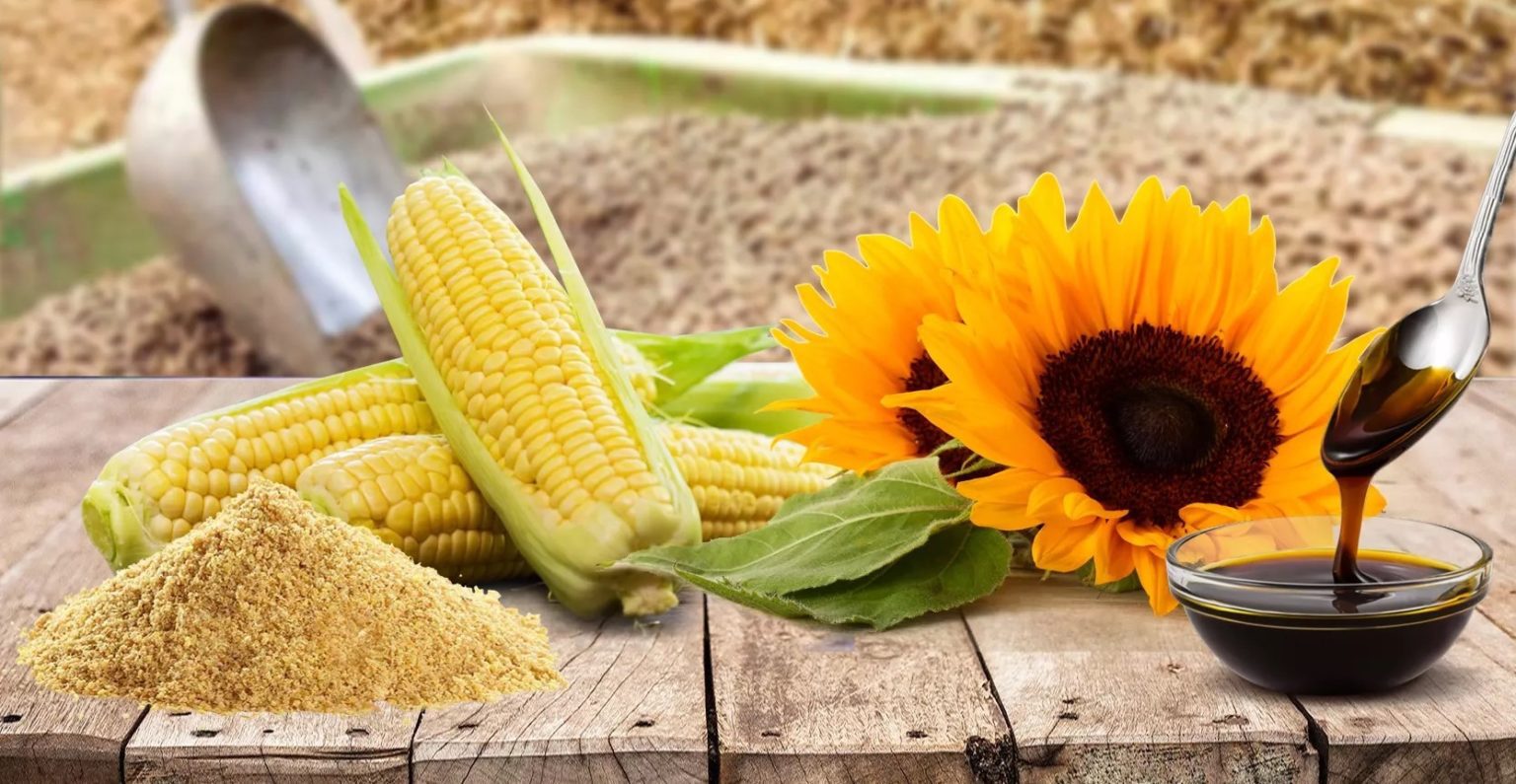 Раменский комбинат хлебопродуктов - Завод по производству комбикормов и ...